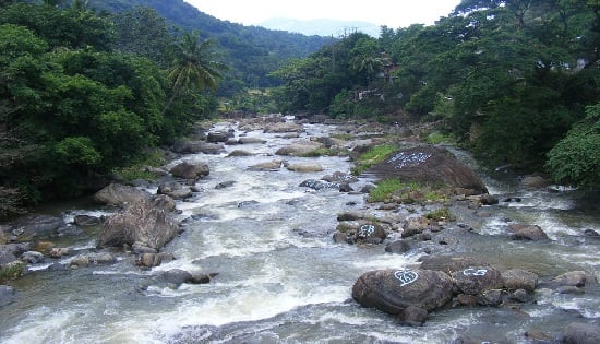 Rio: Definición, Partes, Características, Tipos e Importancia ...