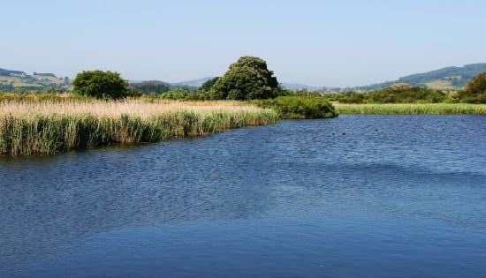 Lago: Definición, Tipos y Formación. - TÉRMINOS Y DEFINICIONES