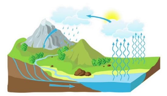 Evaporación: Definición, Factores, Tipos, Aplicaciones e Importancia ...