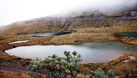 Lagunas: Definición, Características y Tipos - TÉRMINOS Y DEFINICIONES