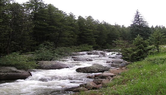 Rio: Definición, Partes, Características, Tipos e Importancia ...