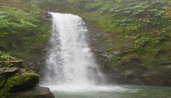 Rio: Definición, Partes, Características, Tipos e Importancia ...