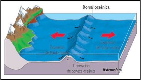 Océano: Definición, Origen y Características - TÉRMINOS Y DEFINICIONES