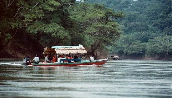 Rio: Definición, Partes, Características, Tipos e Importancia ...