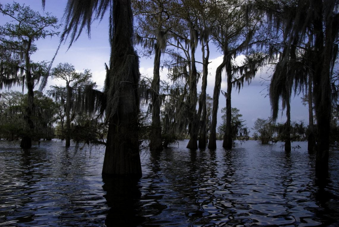 PANTANOS: FORMACION, CARACTERISTICAS Y TIPOS - TÉRMINOS Y DEFINICIONES