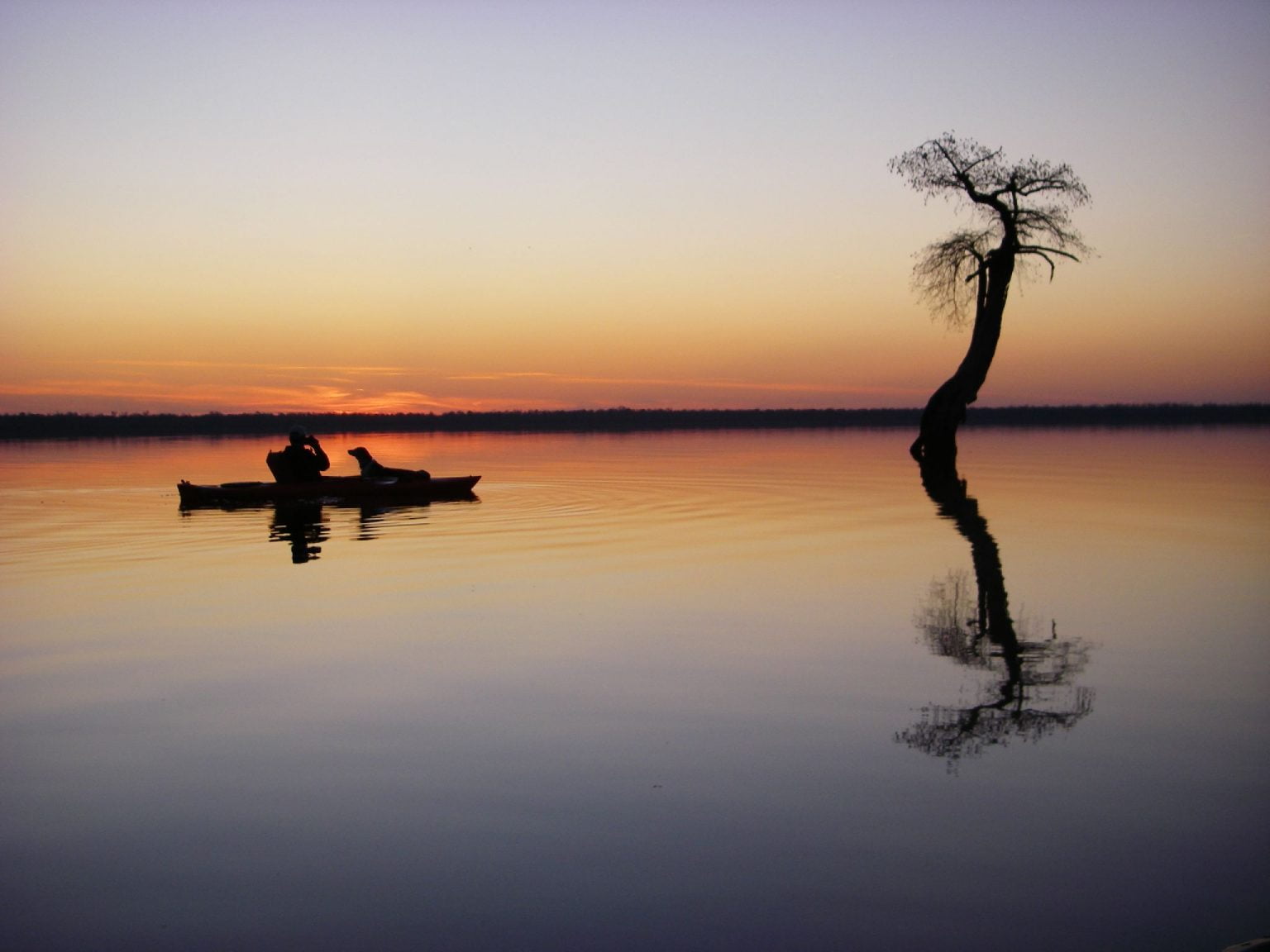 PANTANOS: FORMACION, CARACTERISTICAS Y TIPOS - TÉRMINOS Y DEFINICIONES
